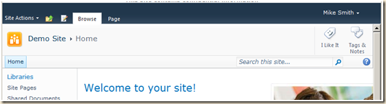 SharePoint 2010: Site Title and Icon - Change the Font Size, Face or ...